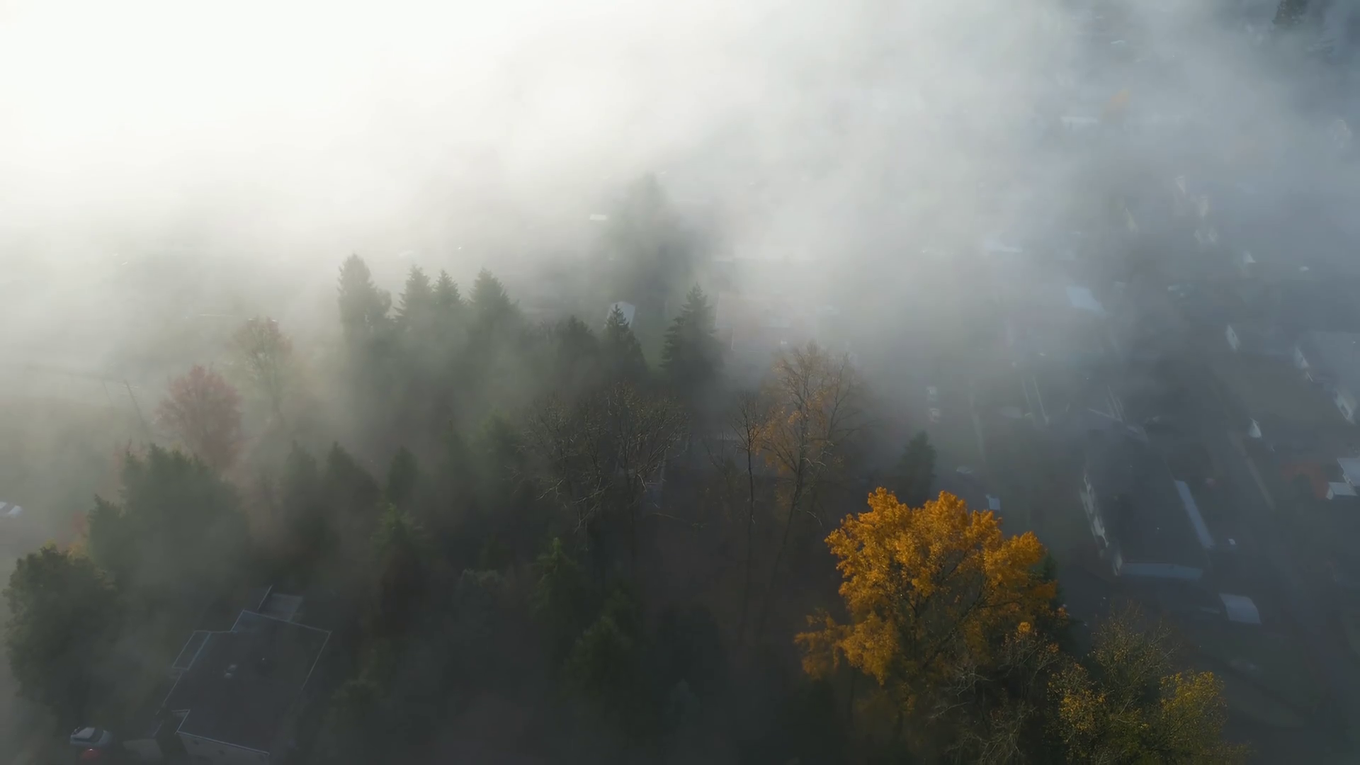 Neighborhood Streets Homes Covered In Fog Stock Footage SBV-348713682 ...