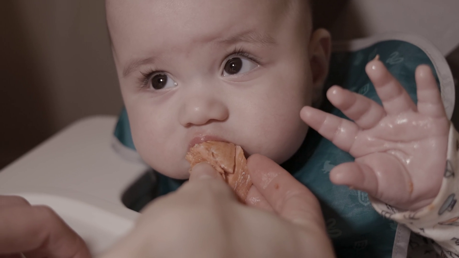 Adorable Baby Eating Salmon First Time First Stock Footage SBV ...