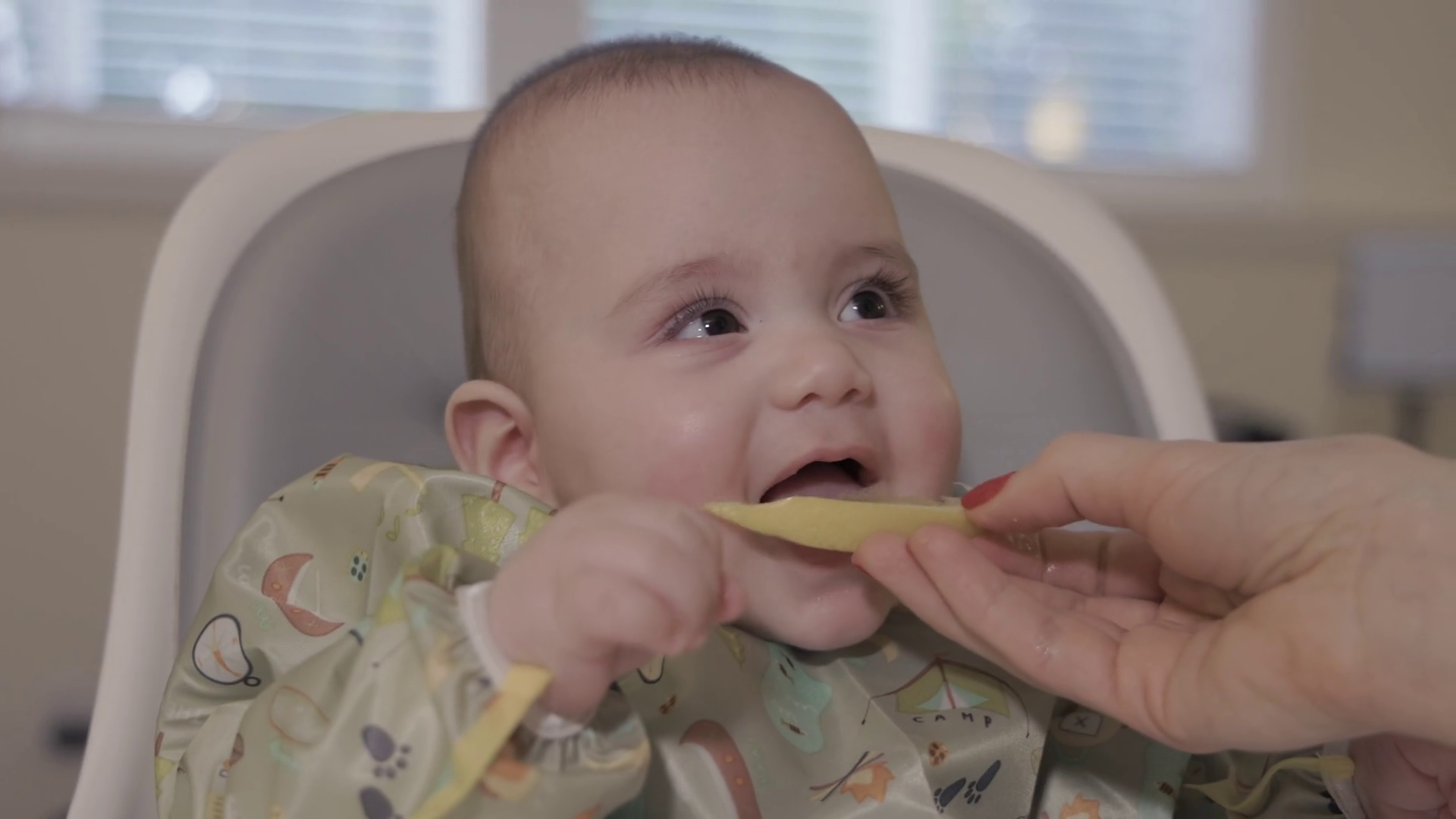 Sweet Baby Boy In High Chair Eating Lemon At Stock Footage SBV ...