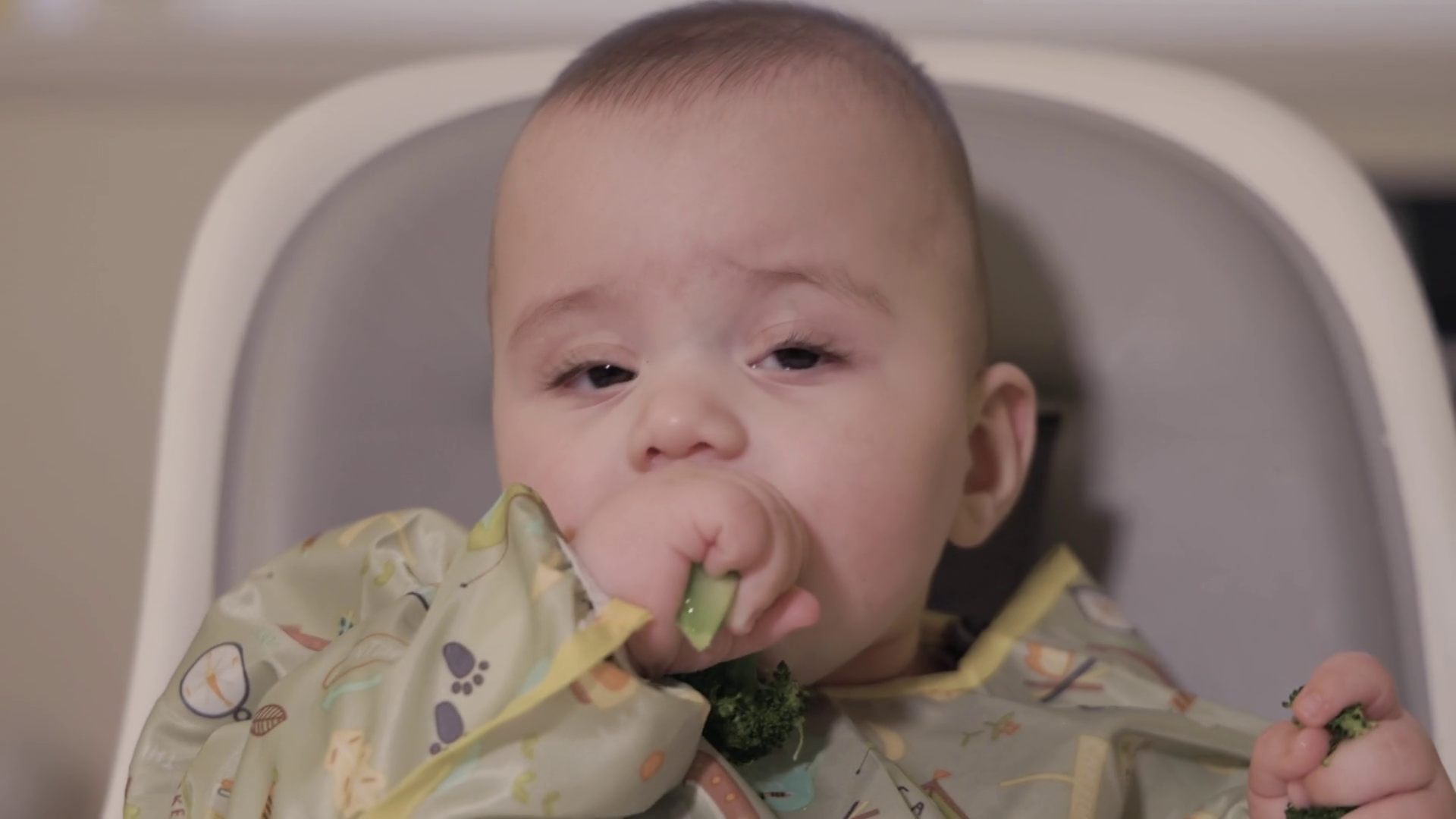 Sweet Baby Boy In High Chair Eating Broccoli Stock Footage SBV ...