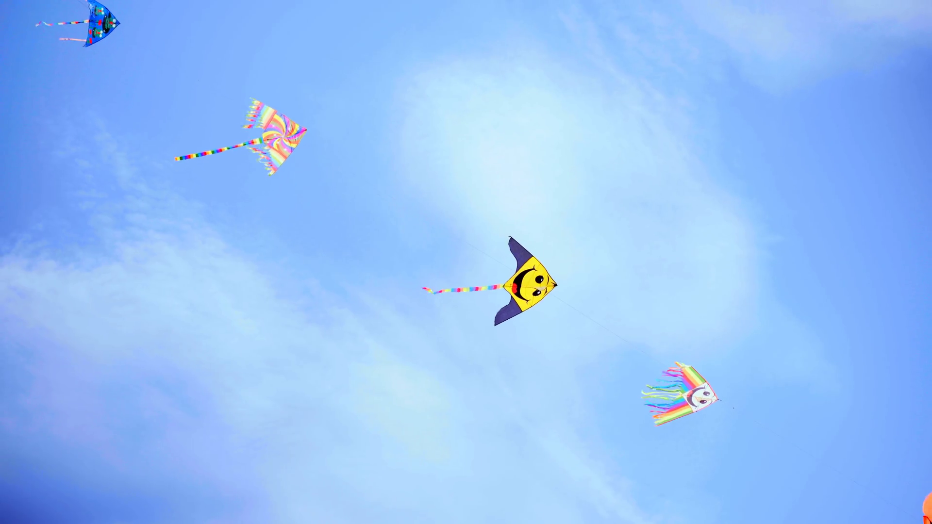 Kite Flying In Shape Large Rainbow Flies In Stock Footage SBV-325216790 ...