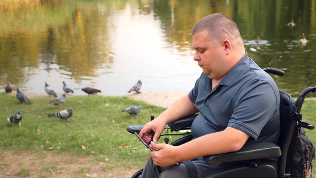 Using Tablet | Animals stock footage - Storyblocks