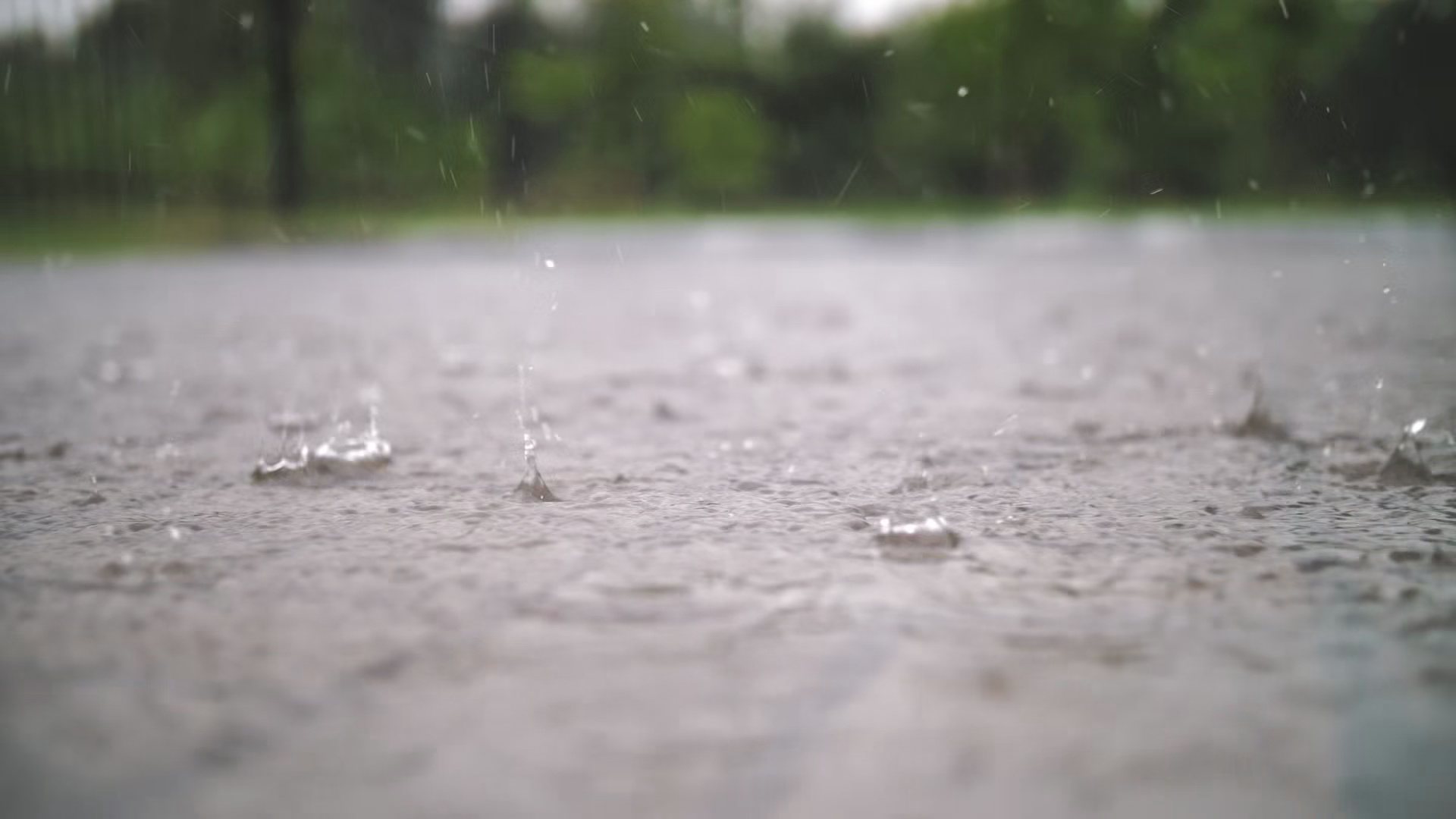 Intense Rainfall Hitting Water Surface Stock Footage SBV-353716866 ...
