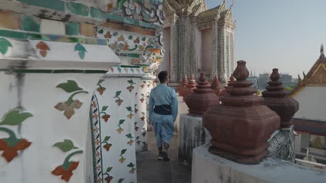 Guardian Statues Stock Footage: Royalty-Free Video Clips - Storyblocks