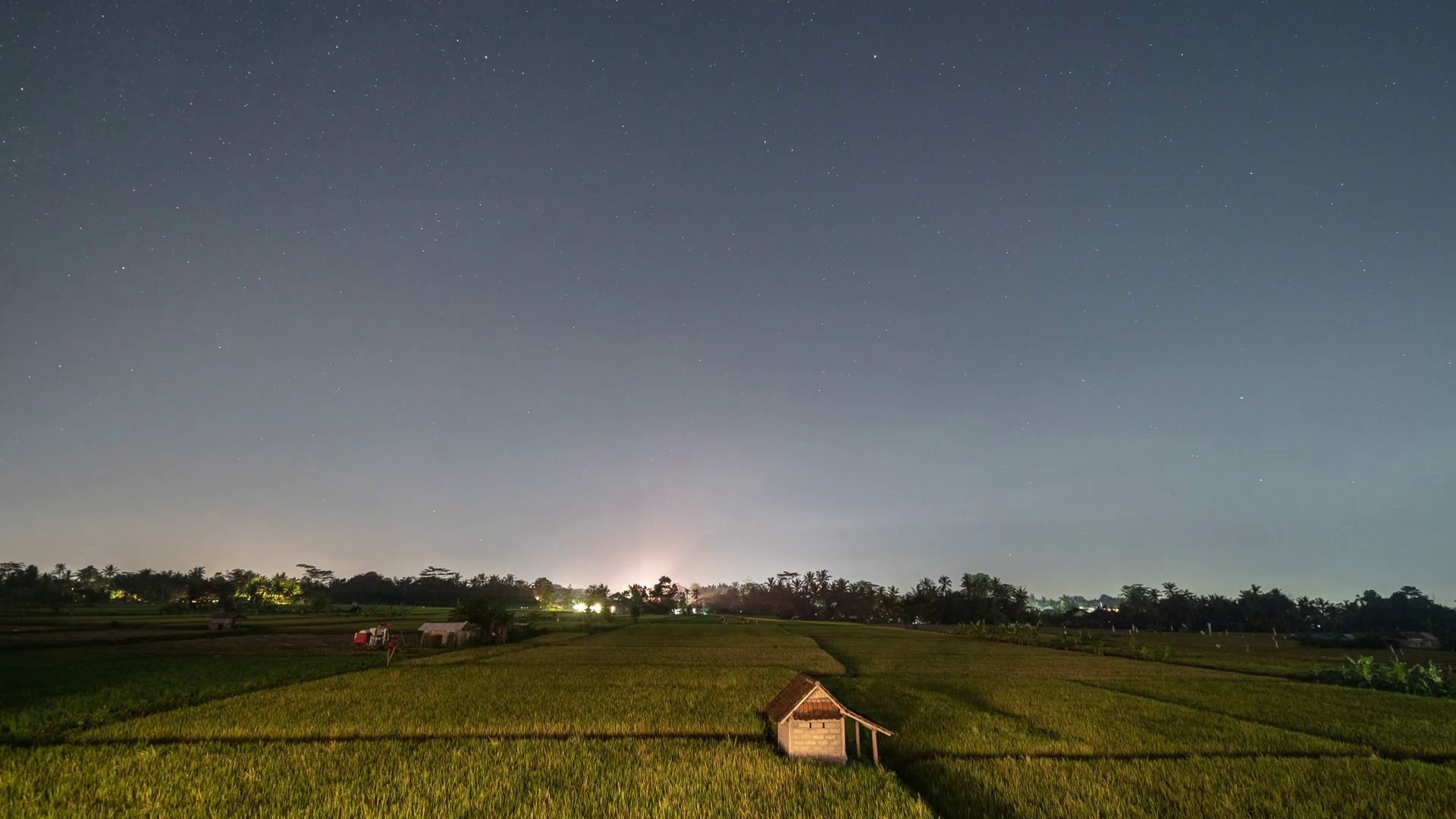 4k Starry Night Sky Above Paddy Rice Field Stock Footage SBV-338658227 ...