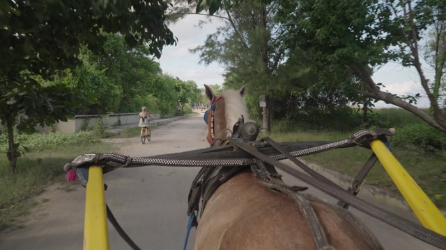 Pov Riding A Horse Stock Footage: Royalty-Free Video Clips - Storyblocks