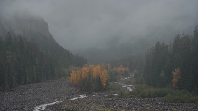 America Bad Stock Footage: Royalty-Free Video Clips - Storyblocks