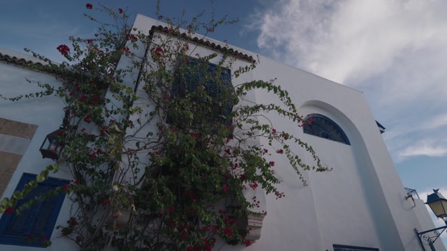 Details Stock Footage: Royalty-Free Video Clips - Page 2 - Storyblocks