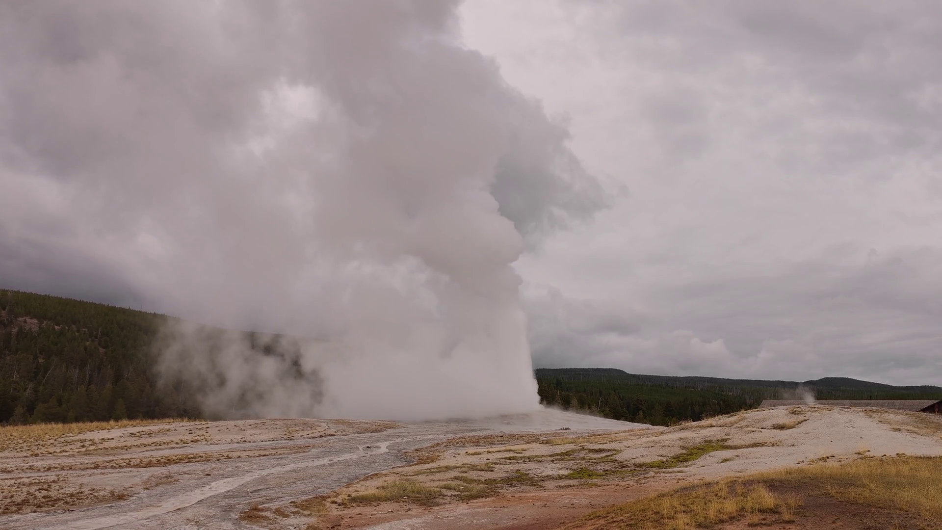 Old Faithful Erupting on Upper Geyser Basin of Supervolcano Yellowstone ...