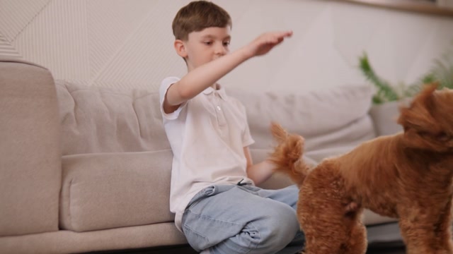 Kid Lesson Stock Footage: Royalty-Free Video Clips - Storyblocks