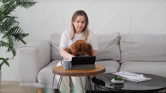 Typing At Computer | Animals stock footage - Storyblocks