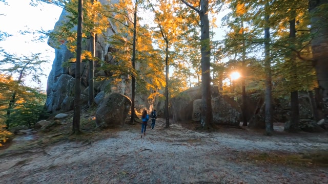 Stone People In The Forest Stock Footage: Royalty-Free Video Clips ...