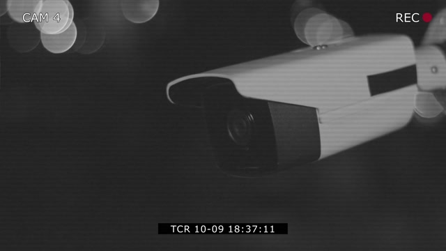 Camarads Video Stock Footage: Royalty-Free Video Clips - Storyblocks