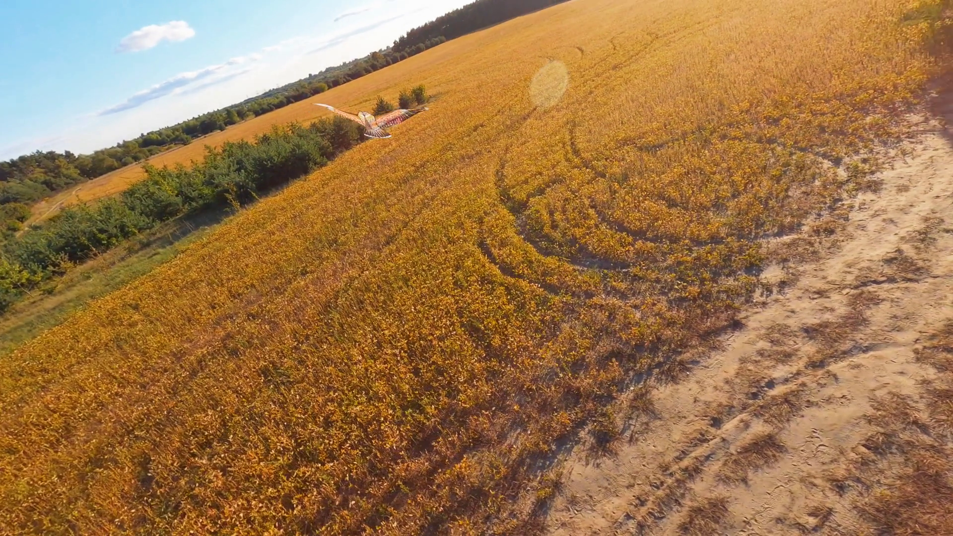Aerial Fpv Maneuverable Flight View Of Empty Stock Footage SBV ...