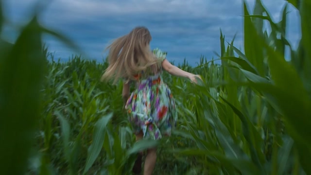 Rash Field Stock Footage: Royalty-Free Video Clips - Storyblocks