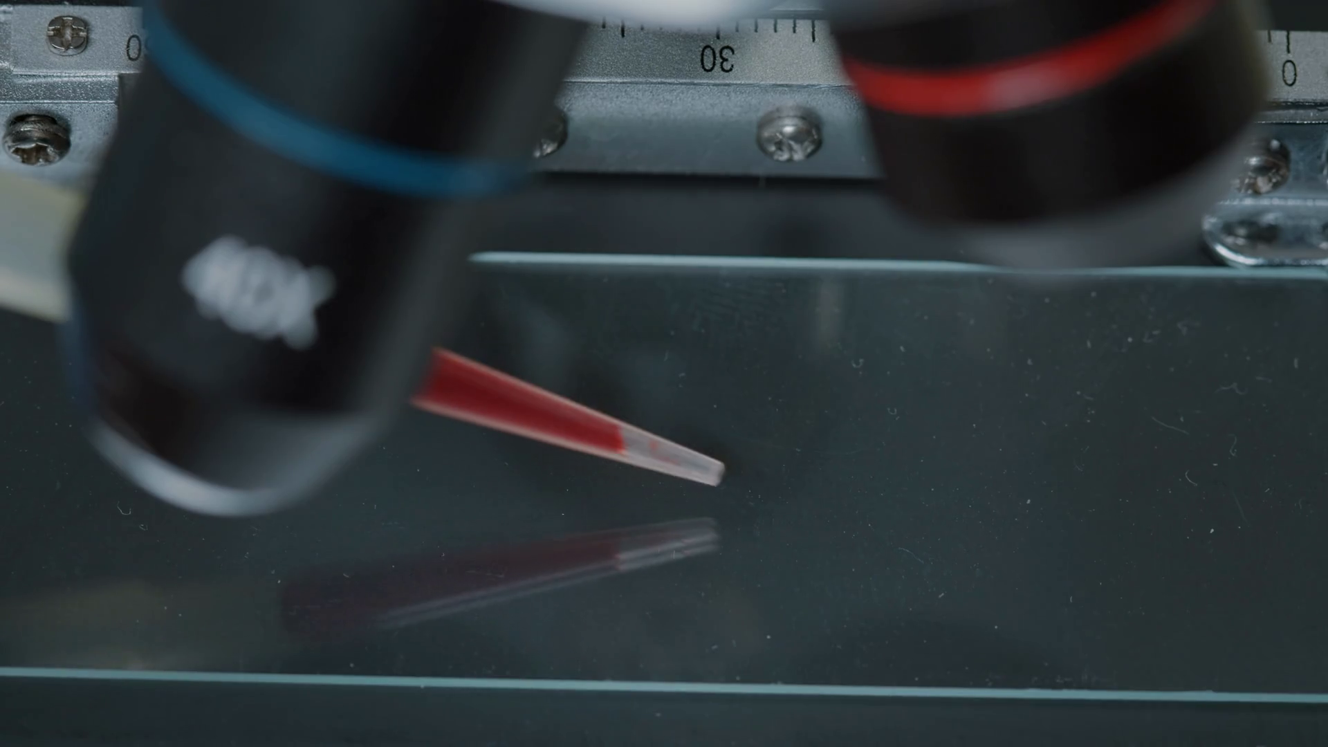 Micro Pipette Putting Blood Sample On Stock Footage SBV-346746007 ...