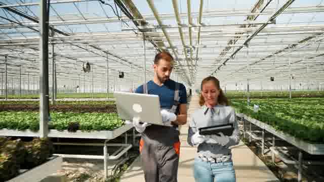 Agronomist Work Stock Footage: Royalty-Free Video Clips - Storyblocks