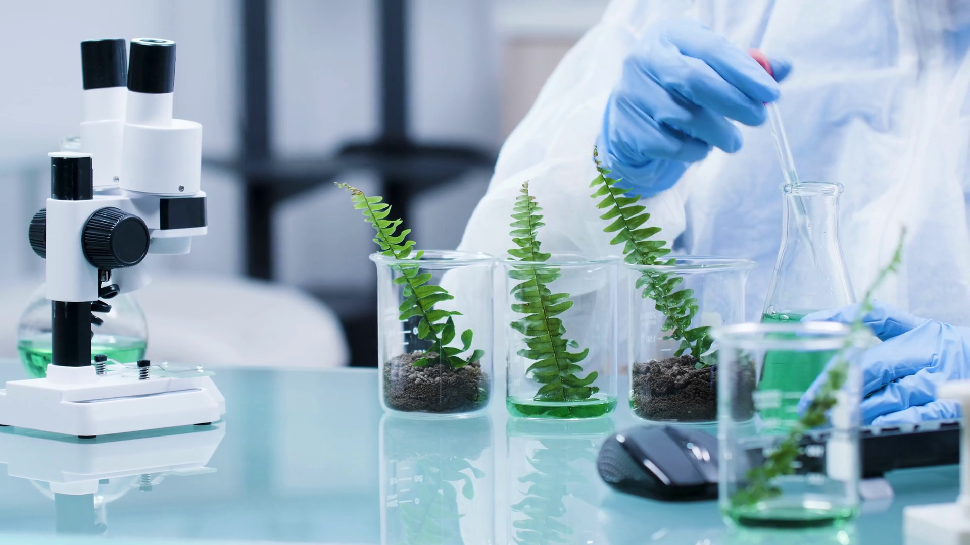 Close Up Shot Experimenting On Plants With Stock Footage SBV-337084909 ...