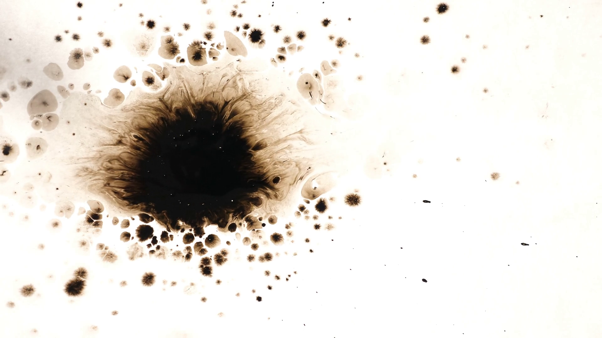 Drops Of Ink Spilling In Water Over White Stock Footage SBV-332662921 ...