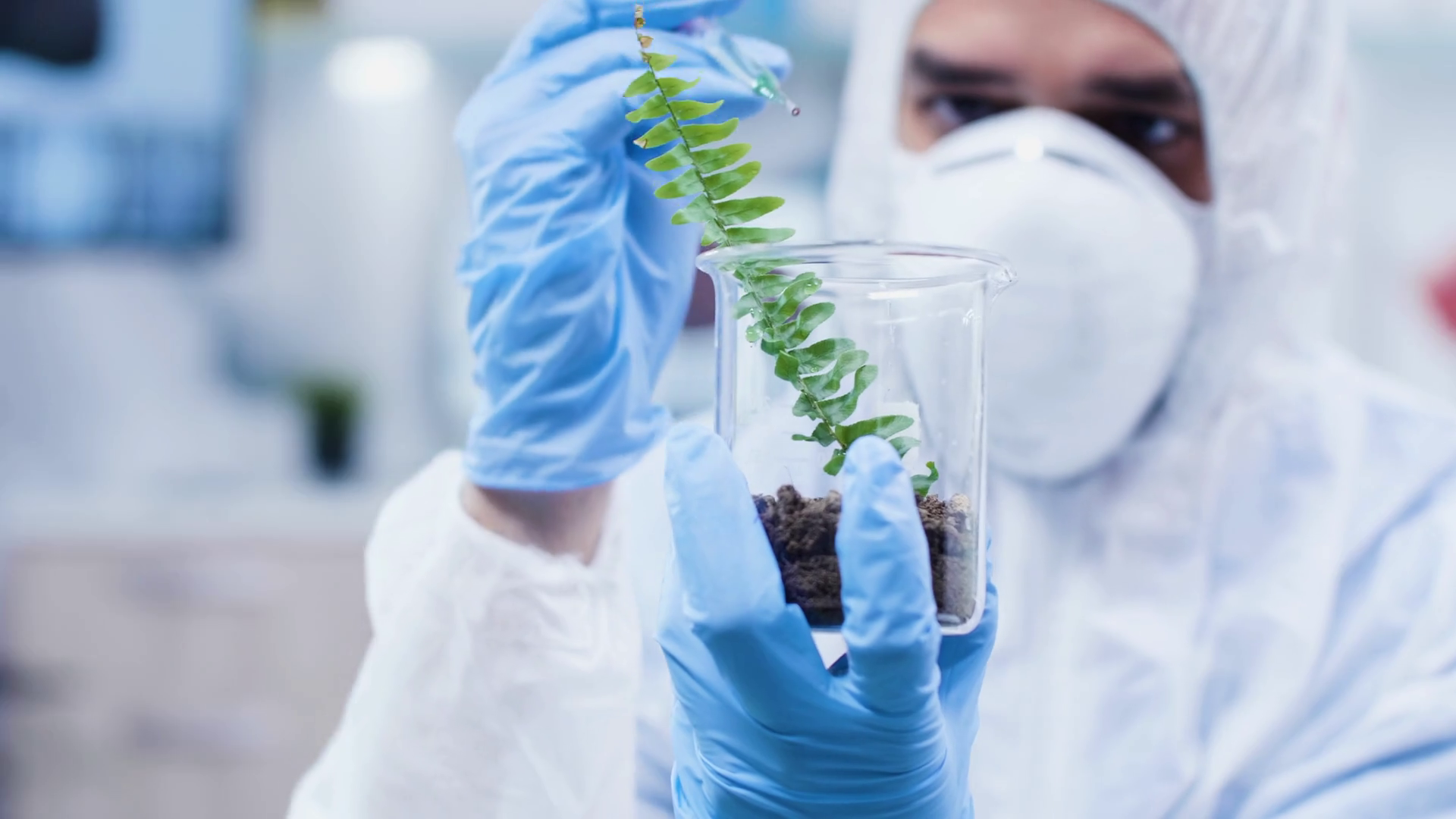 Researcher Pouring Gmo On Plants Modern Stock Footage SBV-337084745 ...