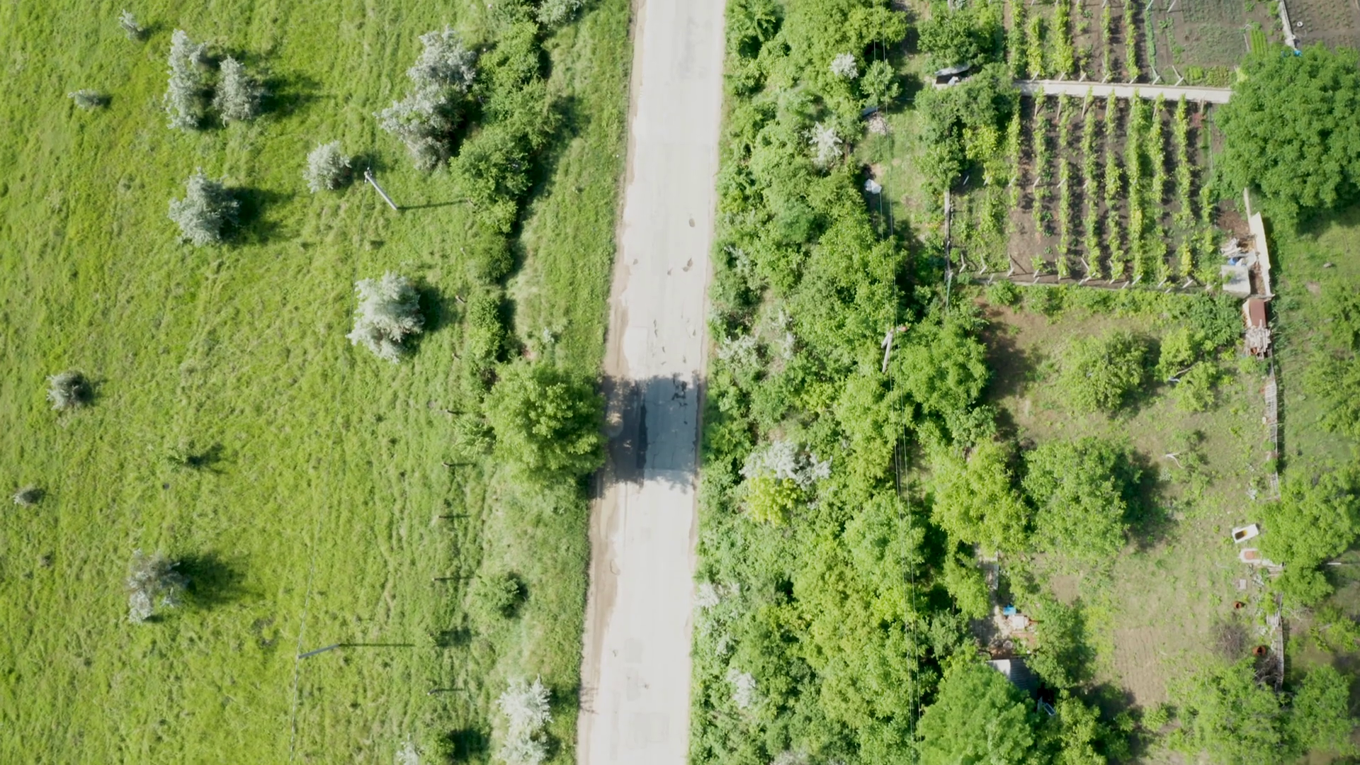Top Down Aerial View Of Rural Road Houses Stock Footage SBV-335431149 ...