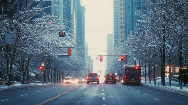 Snowfall Scene Stock Footage: Royalty-Free Video Clips - Storyblocks