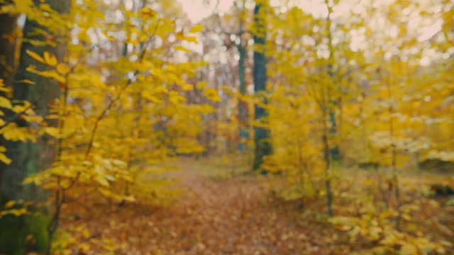 Outdoor Background Stock Footage: Royalty-Free Video Clips - Storyblocks