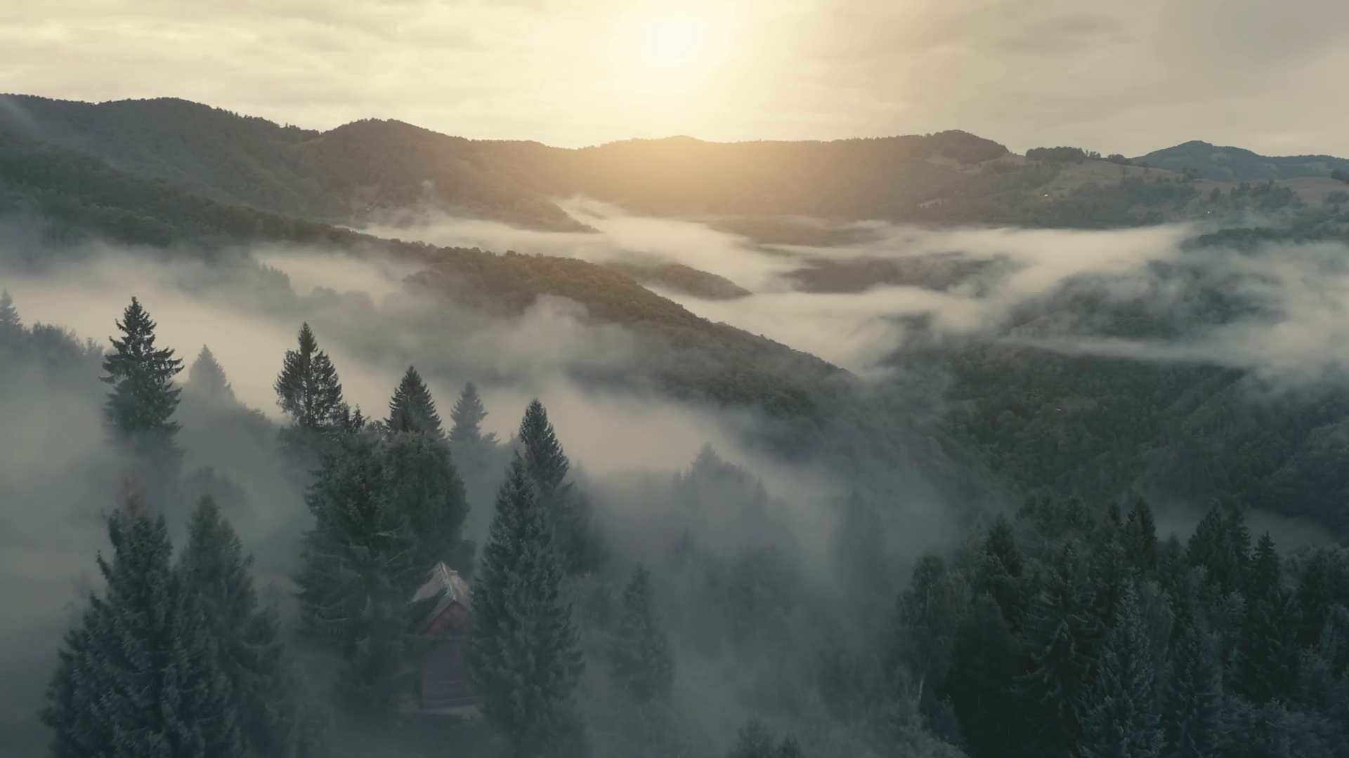 Spooky Horror Aerial Of Hazy Night Fog In Stock Footage SBV-347774492 ...