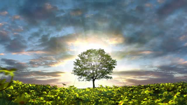 Download Royalty Free Sky Animation - Stock Sky Background
