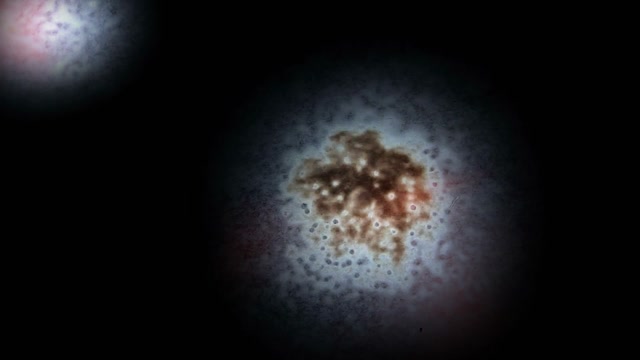 Fx Bubble Elements Stock Footage: Royalty-Free Video Clips - Storyblocks