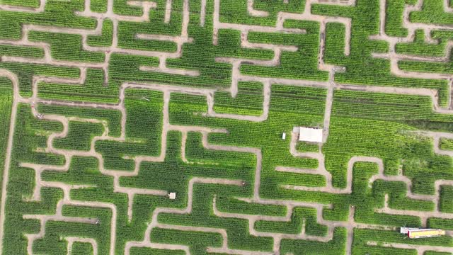 Maze Garden Stock Footage: Royalty-Free Video Clips - Storyblocks
