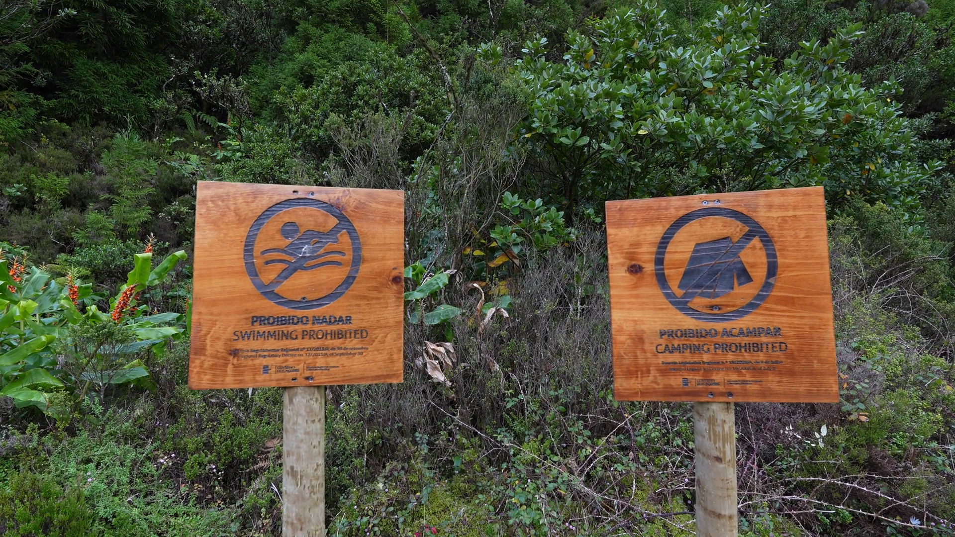 No Swimming Sign Forbidden To Swim Camping Stock Footage SBV-351718231 ...