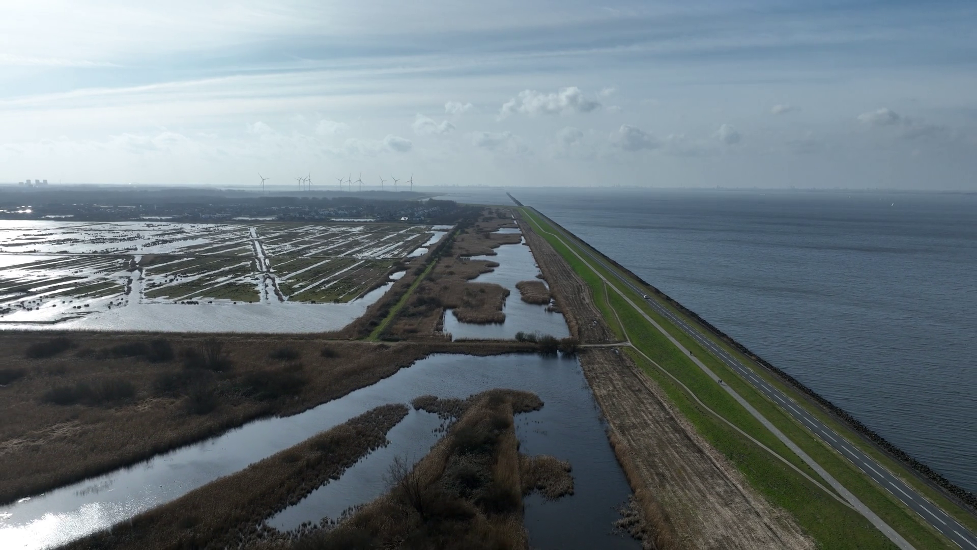 Large Marsh Area With Reed Plains Rough Stock Footage SBV-351866911 ...