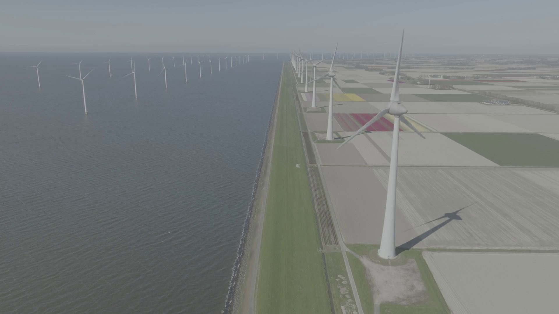 Off Shore Wind Turbine Park In Netherlands Stock Footage SBV-347692485 ...