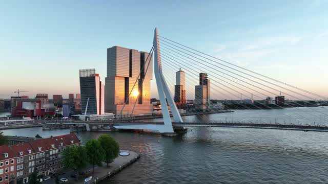 Rotterdam People Stock Footage: Royalty-Free Video Clips - Storyblocks