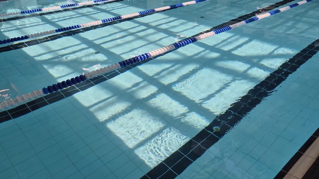 Swimming Pool Competition Stock Footage: Royalty-Free Video Clips ...