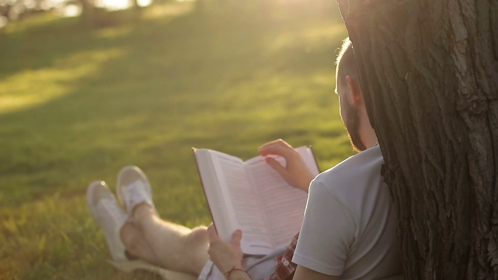 A Person Enjoying Book Under Tree In Nature Stock Footage SBV-323073823 ...