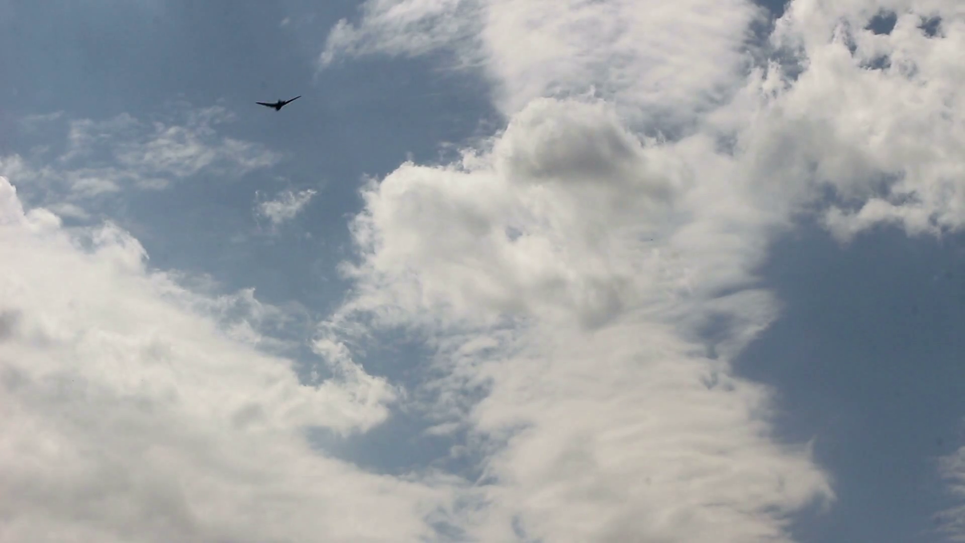Birds Fly Fast Against Sky Clouds Move Stock Footage SBV-324909769 ...