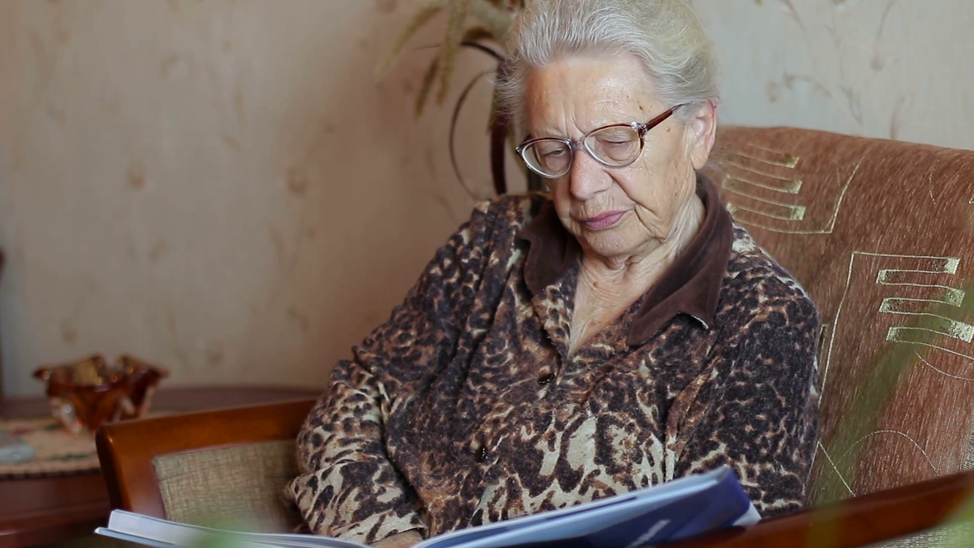 Elderly Woman Reading A Book While Sitting In His Armchair Stock Video