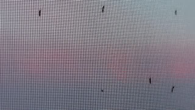 Window Screen Hole Stock Footage: Royalty-Free Video Clips - Storyblocks