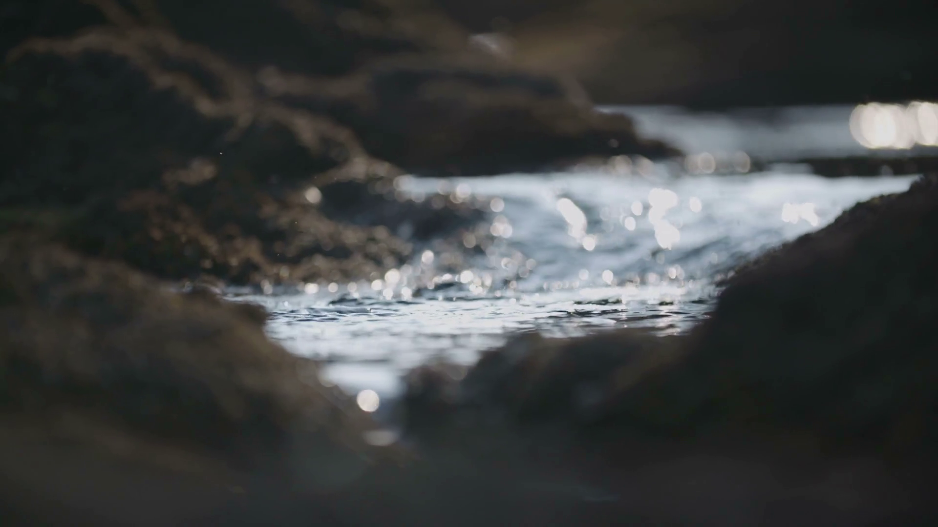 Calm Water Stream With Insects Flying Around Stock Footage SBV ...