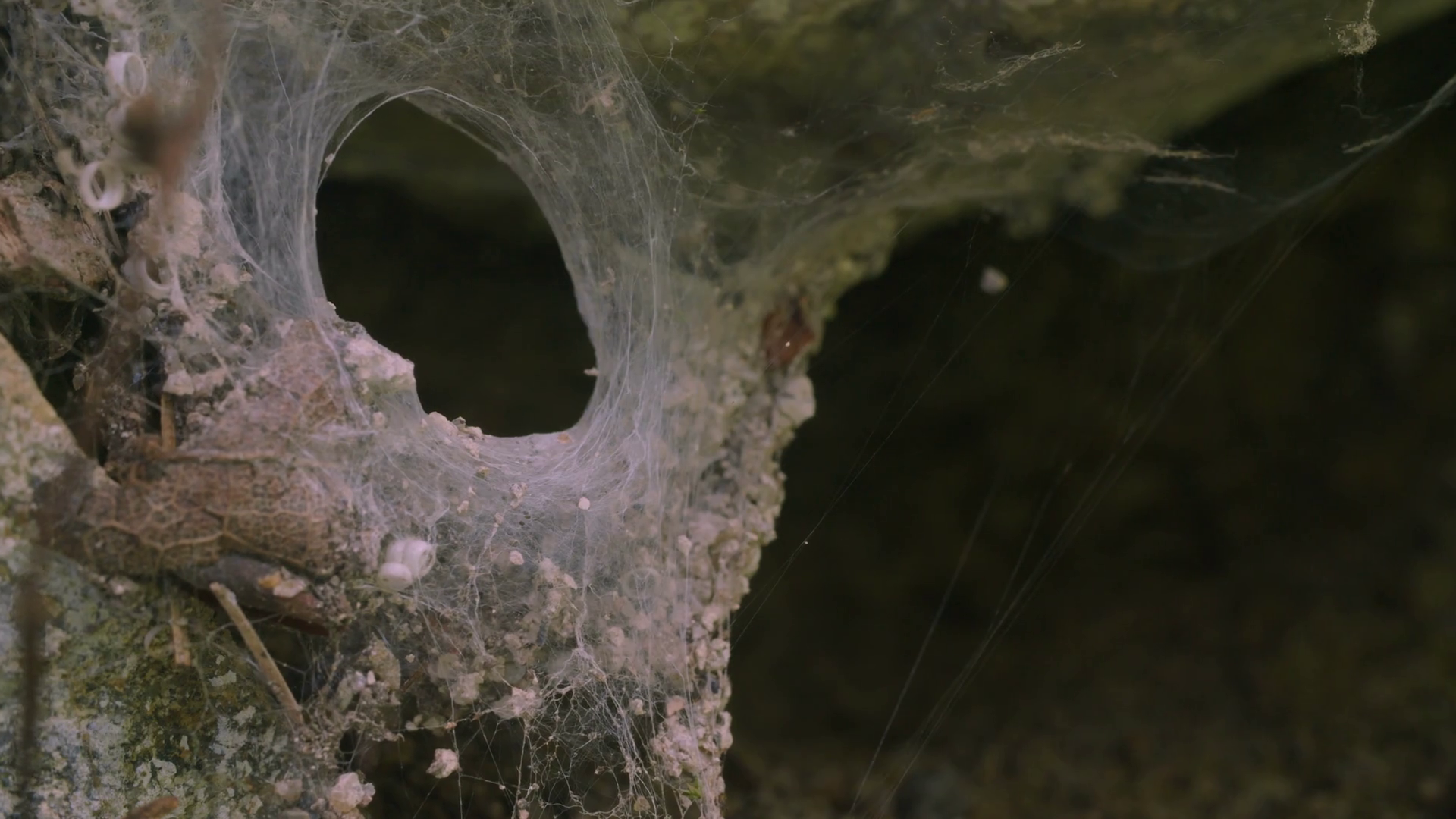 A Slow Macro Zoom Rotate In On Tiny Dirty Stock Footage SBV-328681718 ...