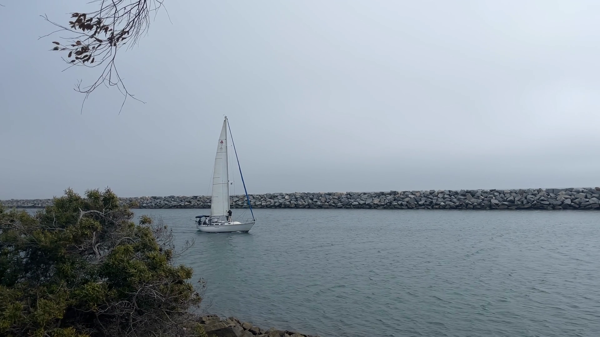 Boat Sails In Dana Point Harbor Dana Cove In Stock Footage SBV ...