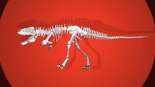 Dinosaur Fossils | Animals stock footage - Storyblocks