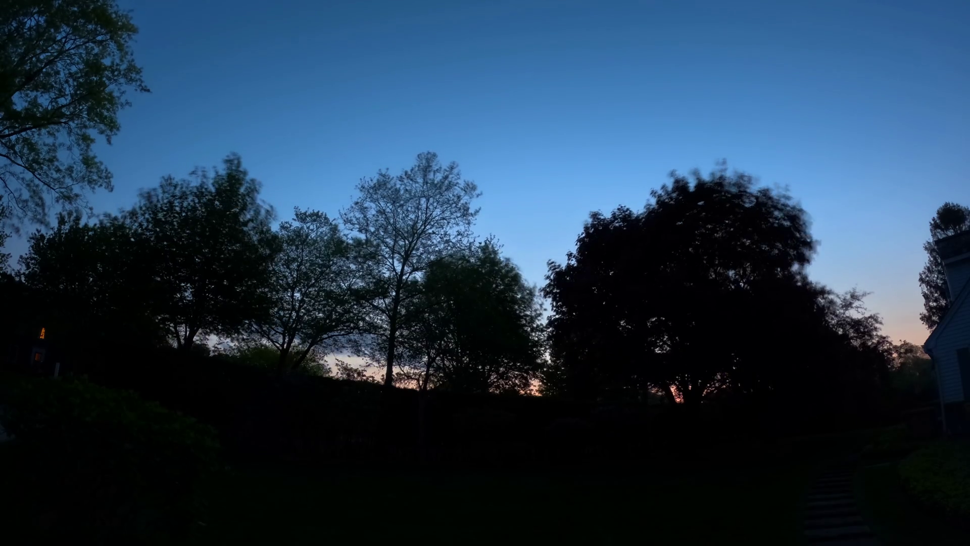 Silhouetted Treeline Shivers In Cold Dusk Stock Footage SBV-348407962 ...