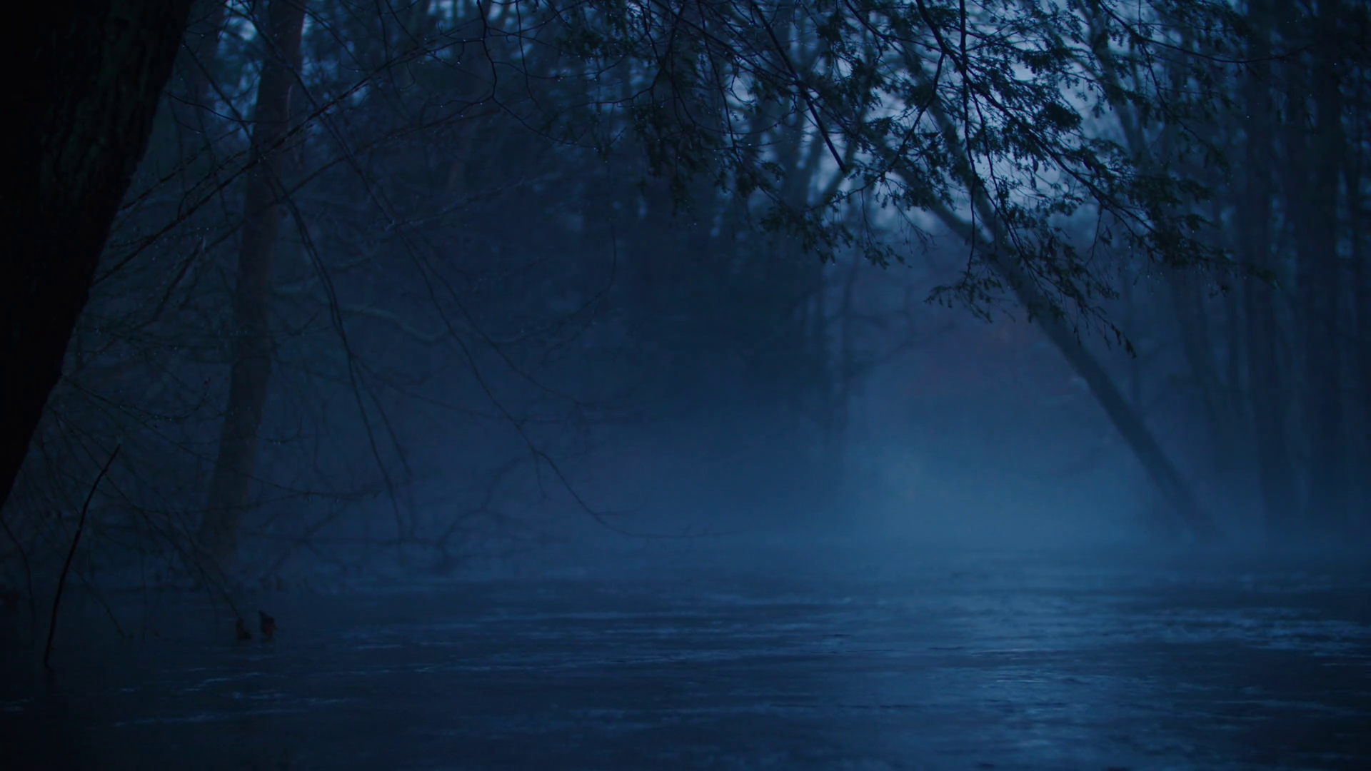 Moody Blue Mist Fog Shroud Flooding River Stock Footage SBV-331101453 ...