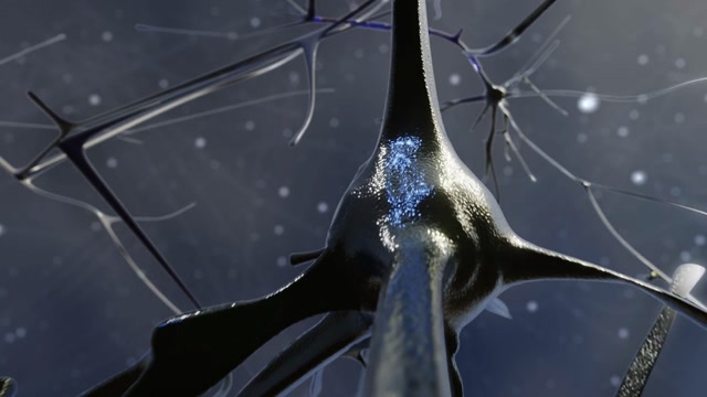 Brain Signals Animation Stock Footage: Royalty-Free Video Clips ...