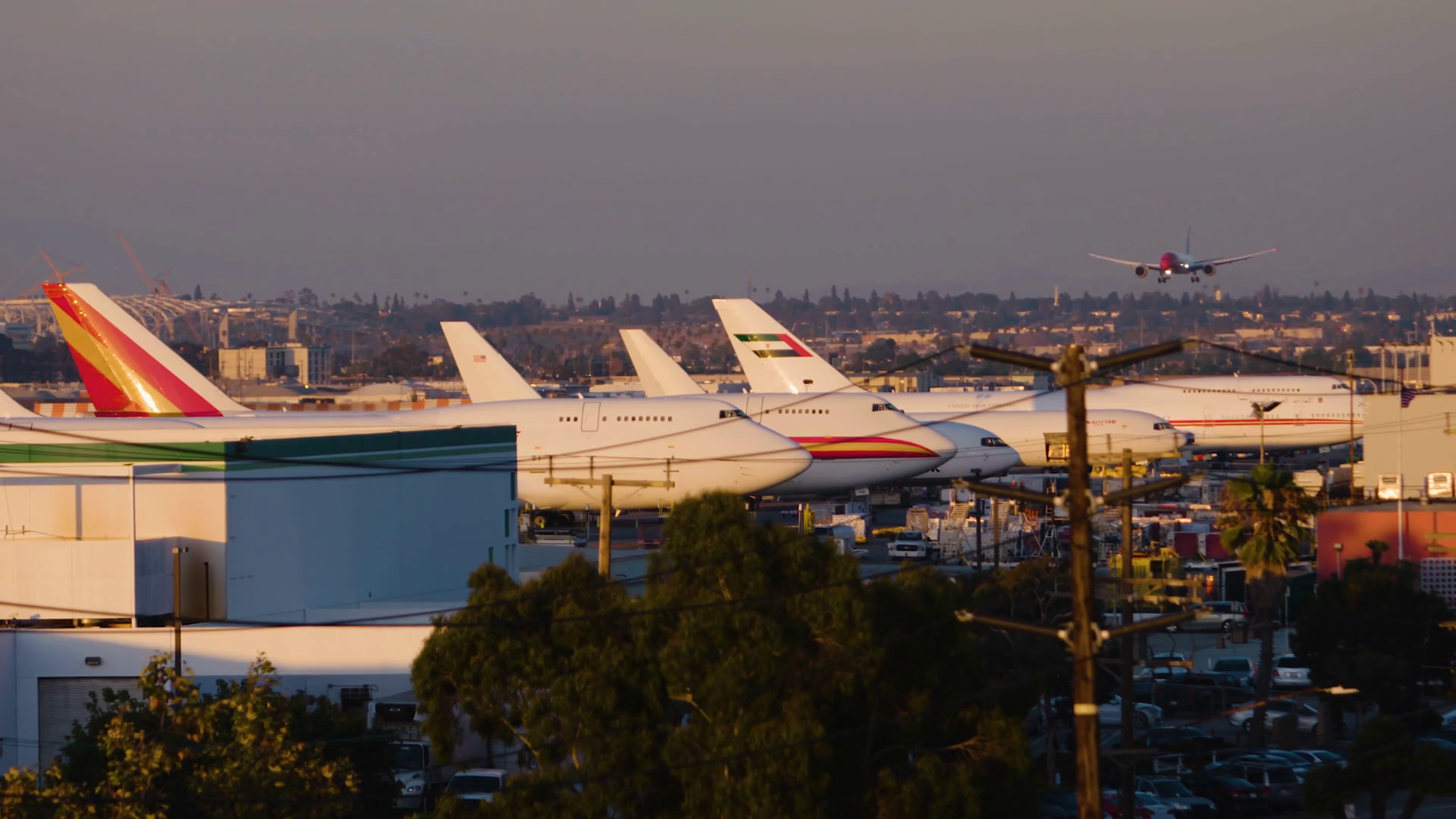 United Arab Emirates Presidential Plane Stock Footage SBV-337831944 ...