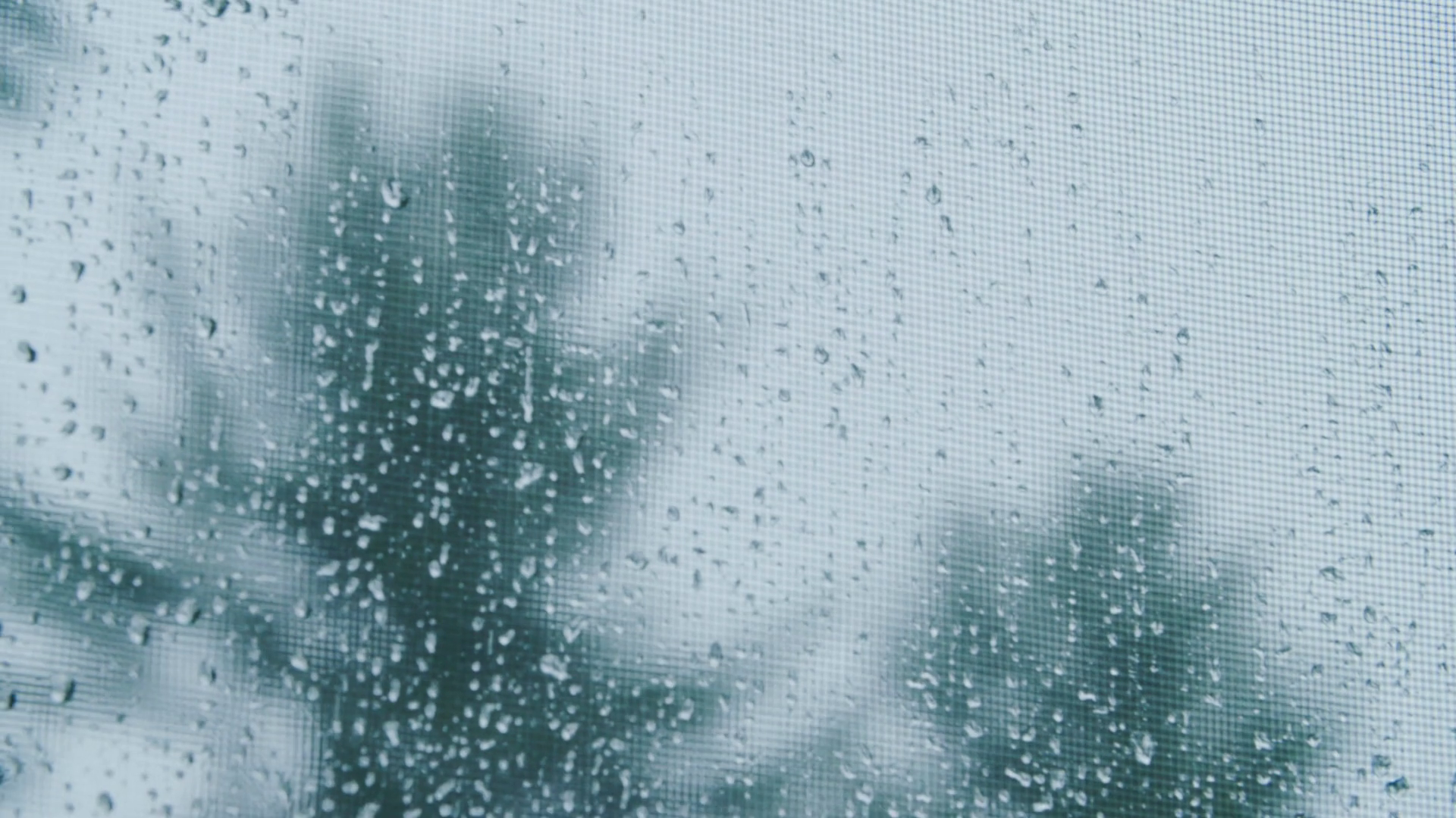 Water Droplets Drip Down Screen Window Stock Footage SBV-324630353 ...