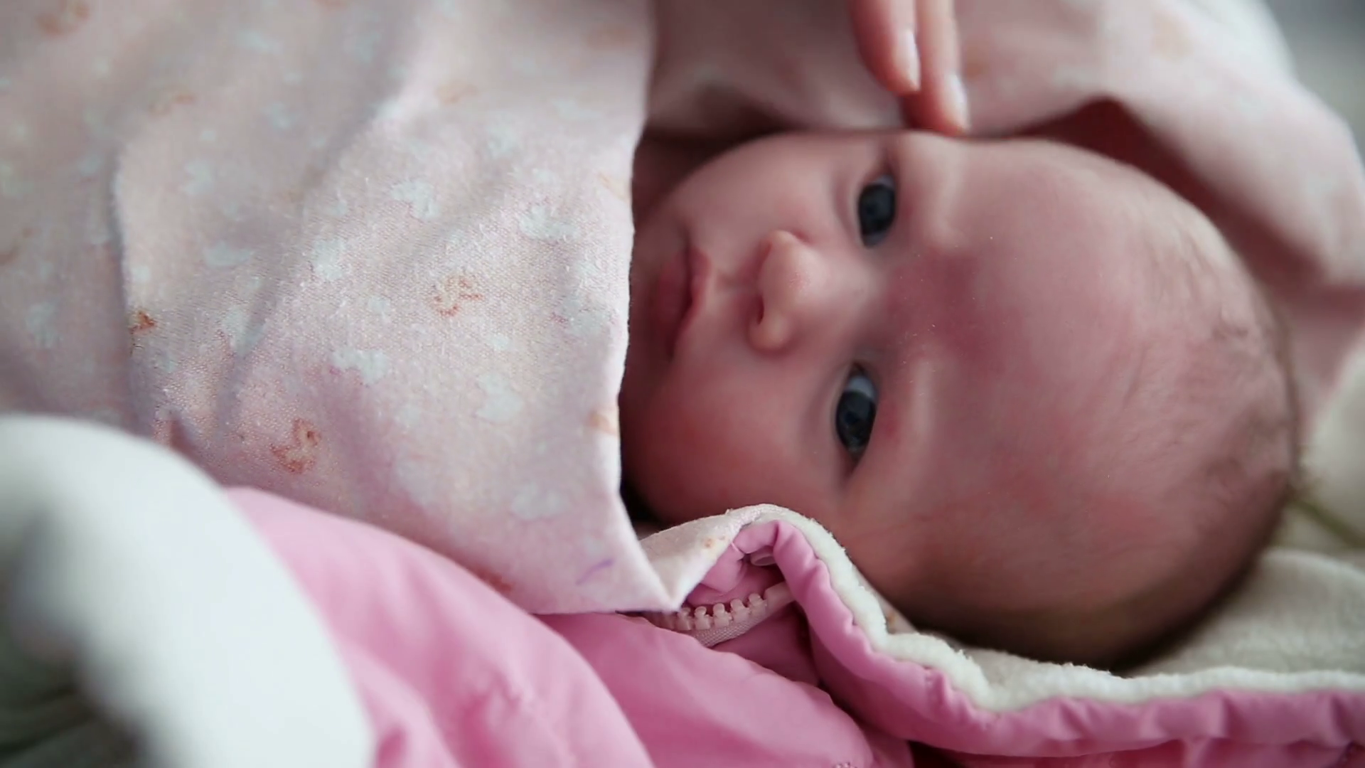 Newborn Baby Looks Closeup Stock Footage SBV-313282346 - Storyblocks